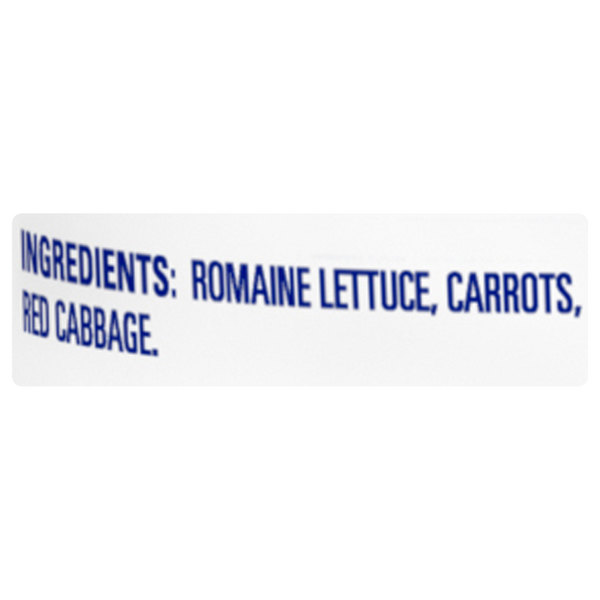 Dole Value Size Classic Romaine 15 oz | Hy-Vee Aisles Online Grocery ...