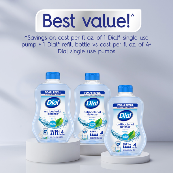 Dial Spring Water Scent Hand Wash + Aloe | Hy-Vee Aisles Online Grocery ...